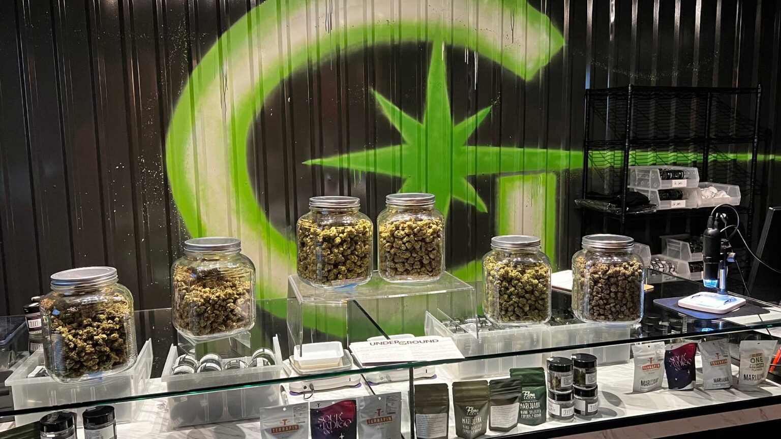 Home | Greenlight Dispensary